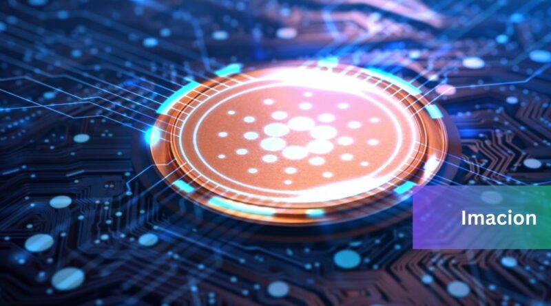 Imacion – Explore It Today!