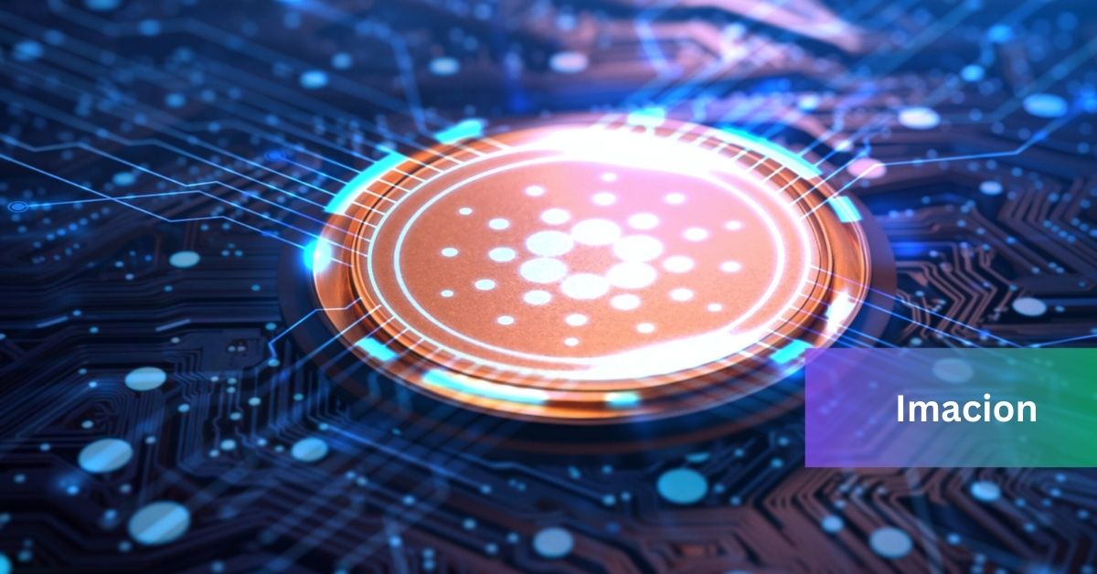 Imacion – Explore It Today!